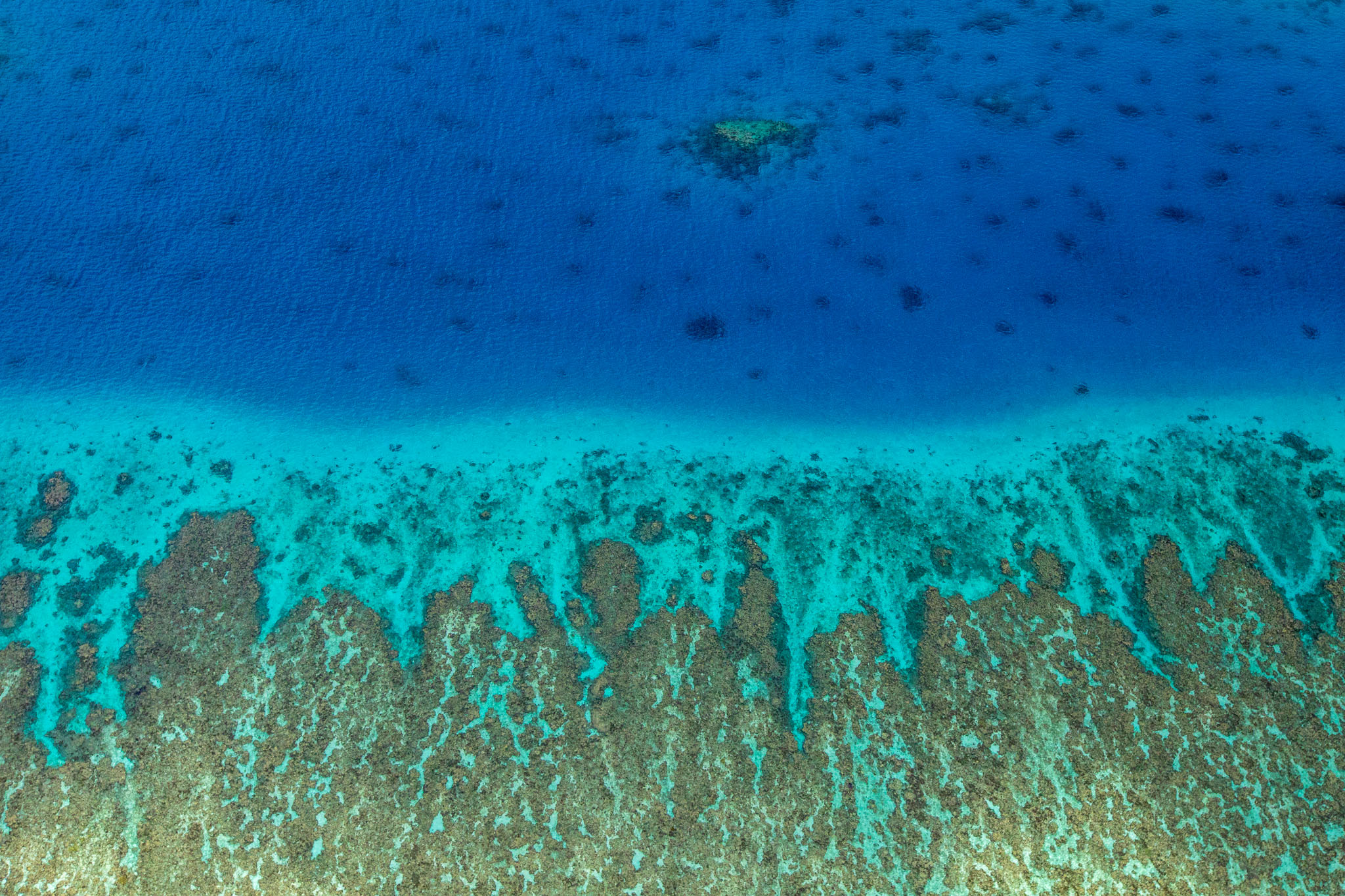 Welcome to Joshua J Smith Photography