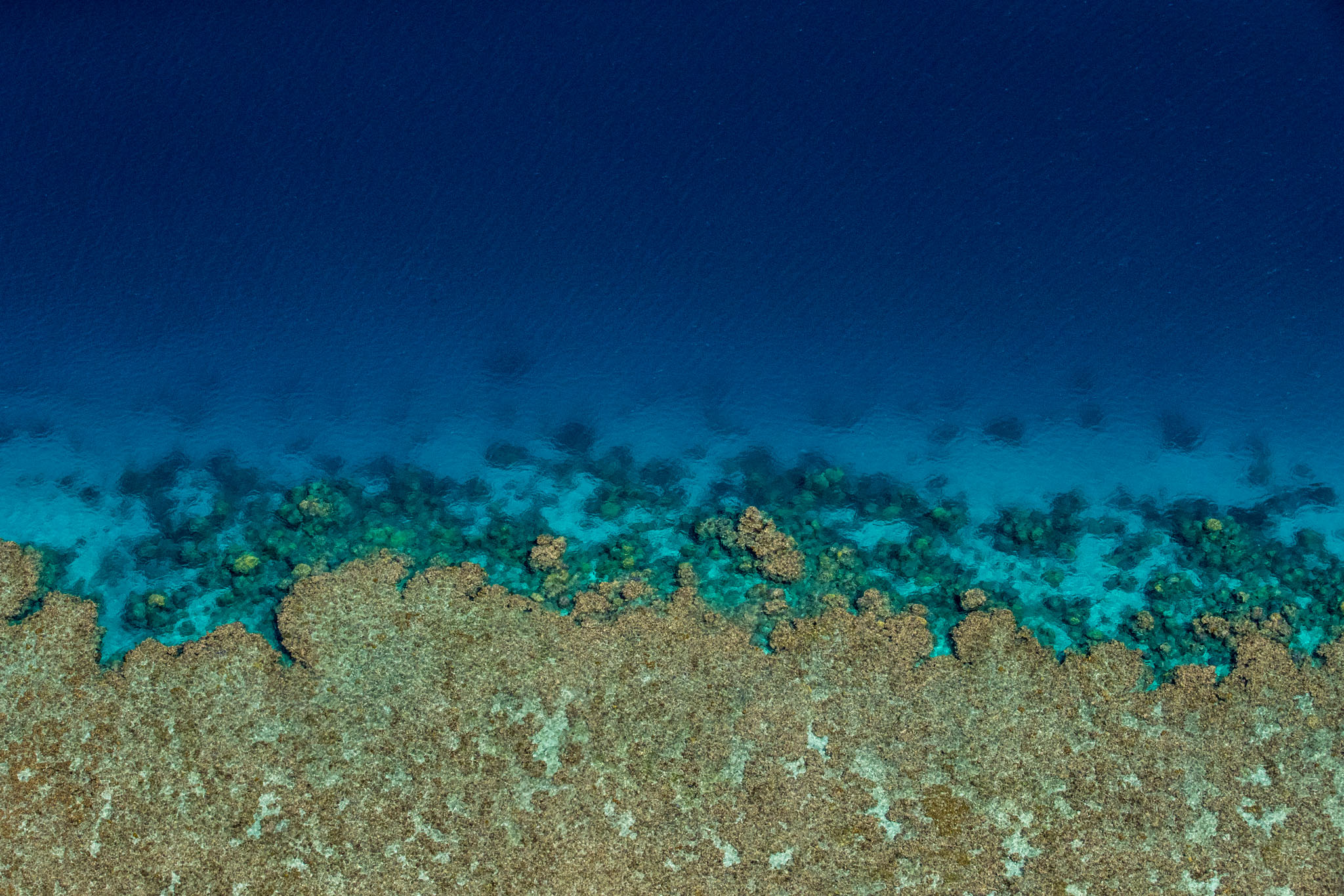 Welcome to Joshua J Smith Photography